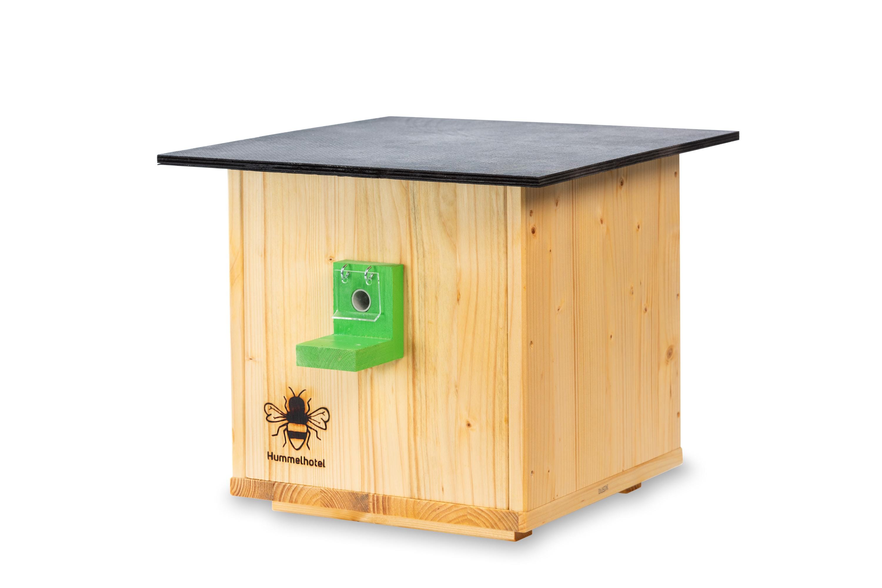 Bumblebee Nest Box Nz