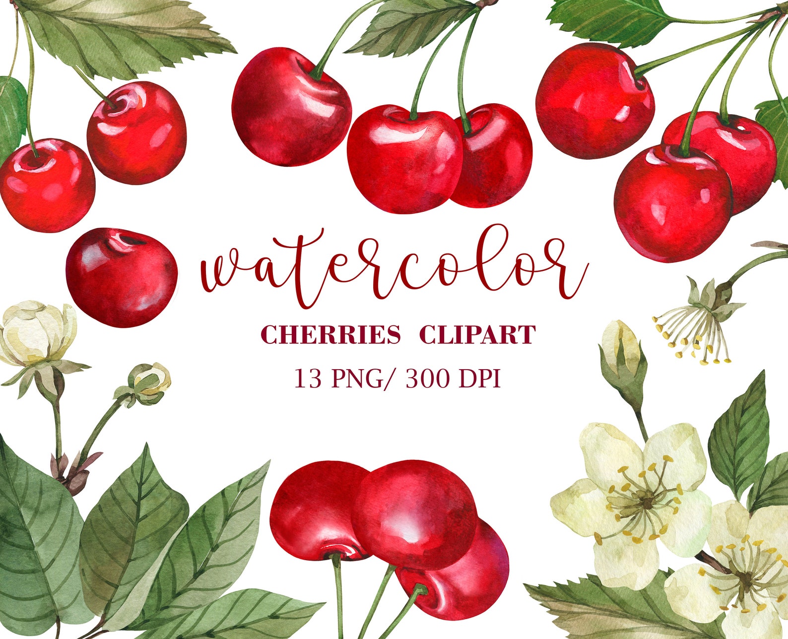 Watercolor Cherry Clip Art, Hand Painted Cherries, Cherry Fruit Trees ...