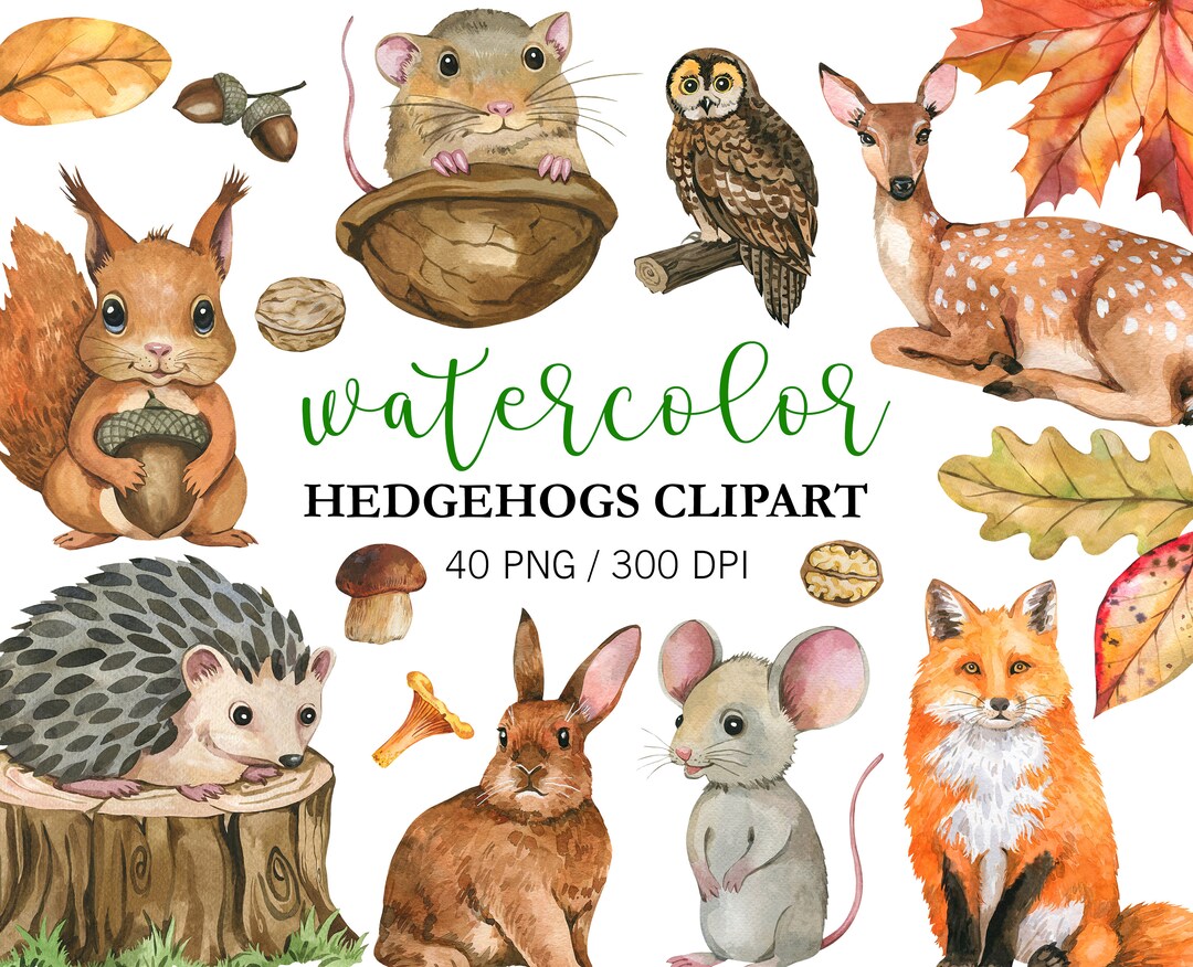 Watercolor Forest Animal Clipart PNG, Watercolor Animals Clipart ...