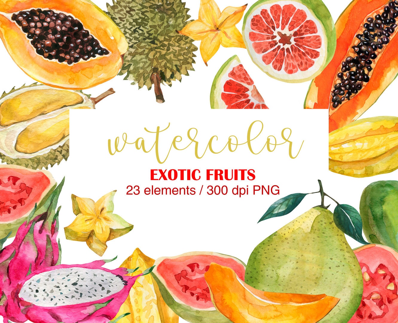 Watercolor Exotic Fruits Clipart Watercolor Tropical Fruits - Etsy
