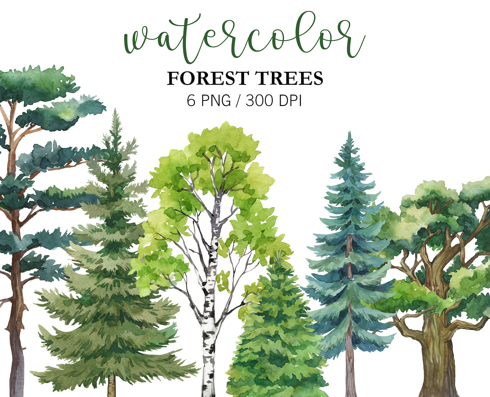 Watercolor Forest Animal Clipart, PNG, Hand Painted Woodland Animals ...