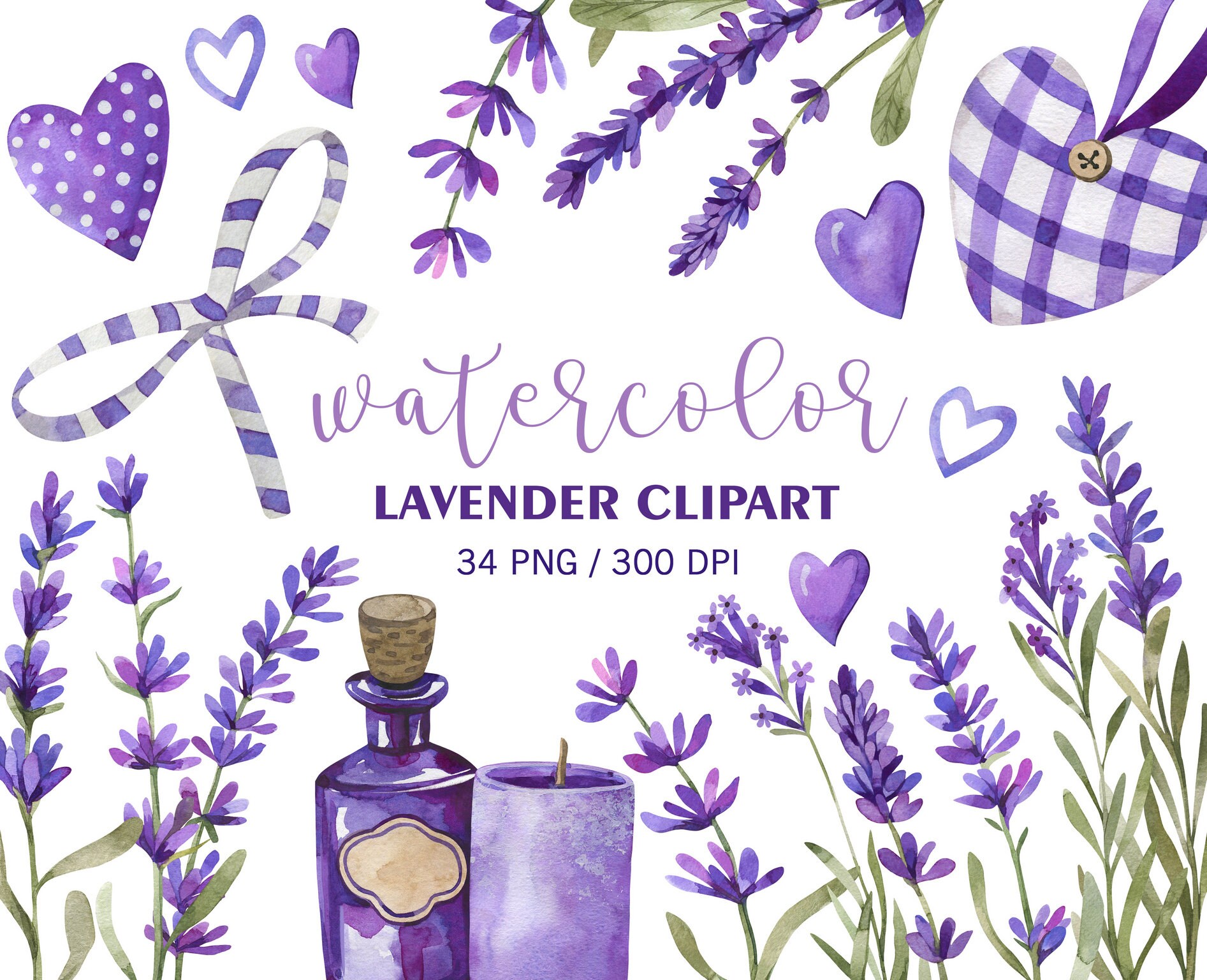 Watercolor Lavender Clipart Lavender Plant Provence Clipart - Etsy