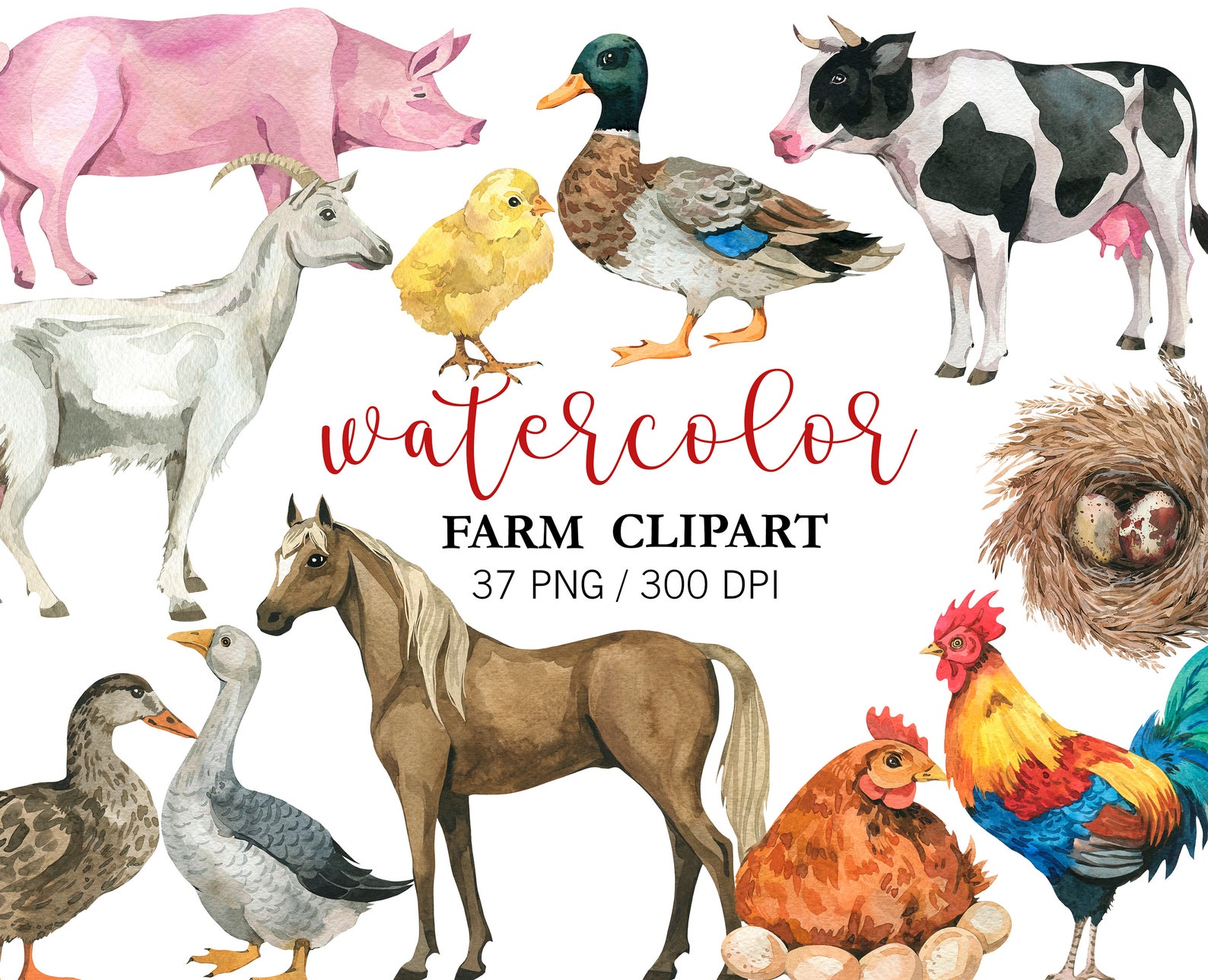 Watercolor Farm Animals Clipart Animal Clipart Nursery - Etsy