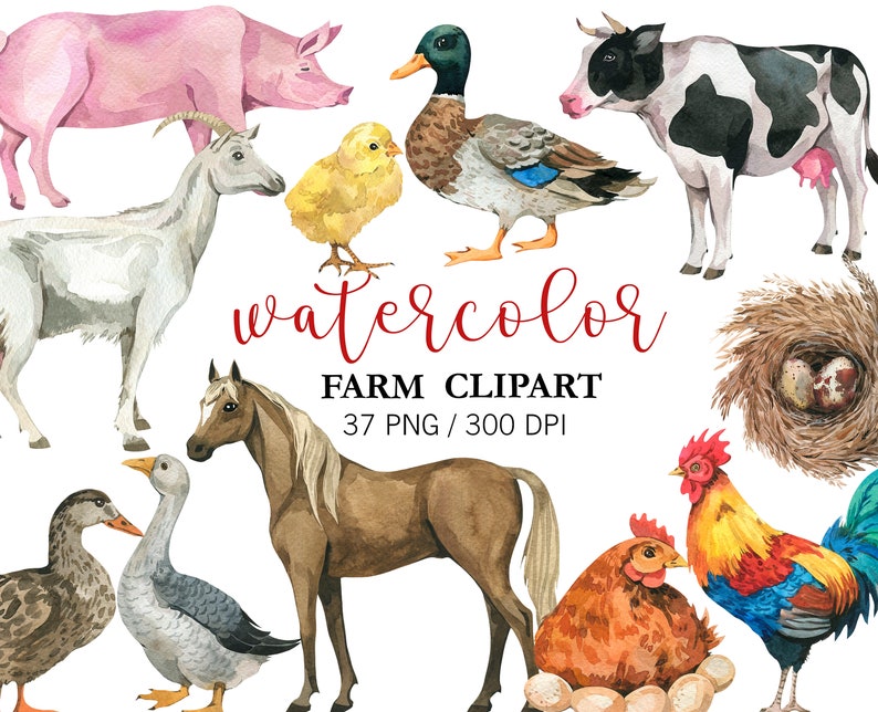 Watercolor Farm Animals Clipart Animal Clipart Nursery - Etsy