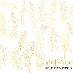 Gold Eucalyptus Clipart, Doodle Clipart, PNG, Glitter Eucalyptus Leaf ...