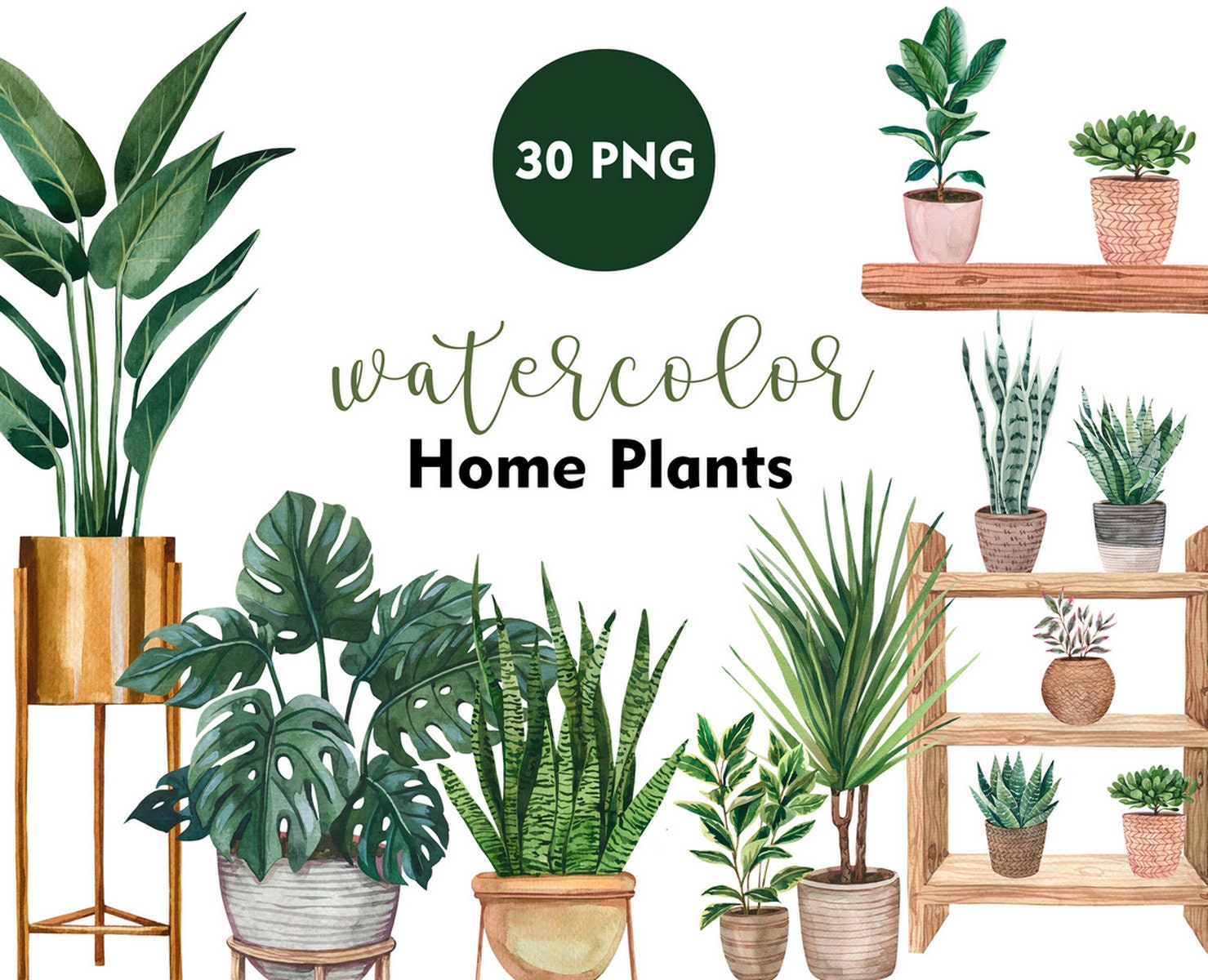 Watercolor House Plants Clipart Indoor Plants Greenery Home - Etsy