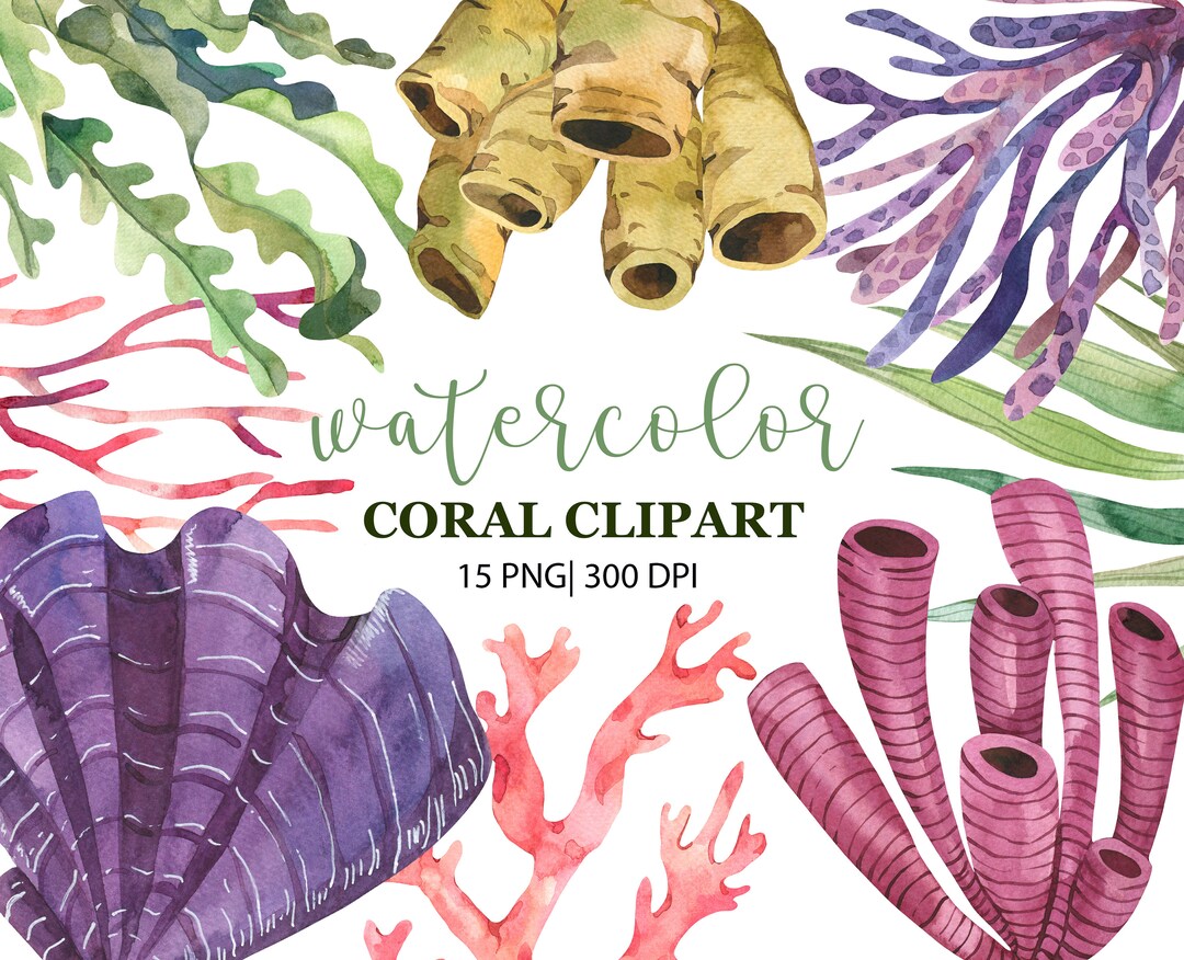 Watercolor Coral Clipart, Ocean Clipart, Sea Coral Reef Clipart ...