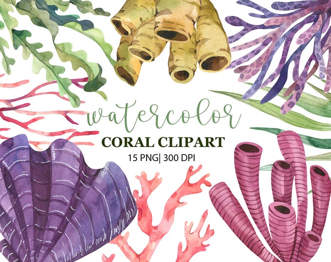 Watercolor Coral Reef Clipart, Under the Sea Life Clip Art, Anemone ...
