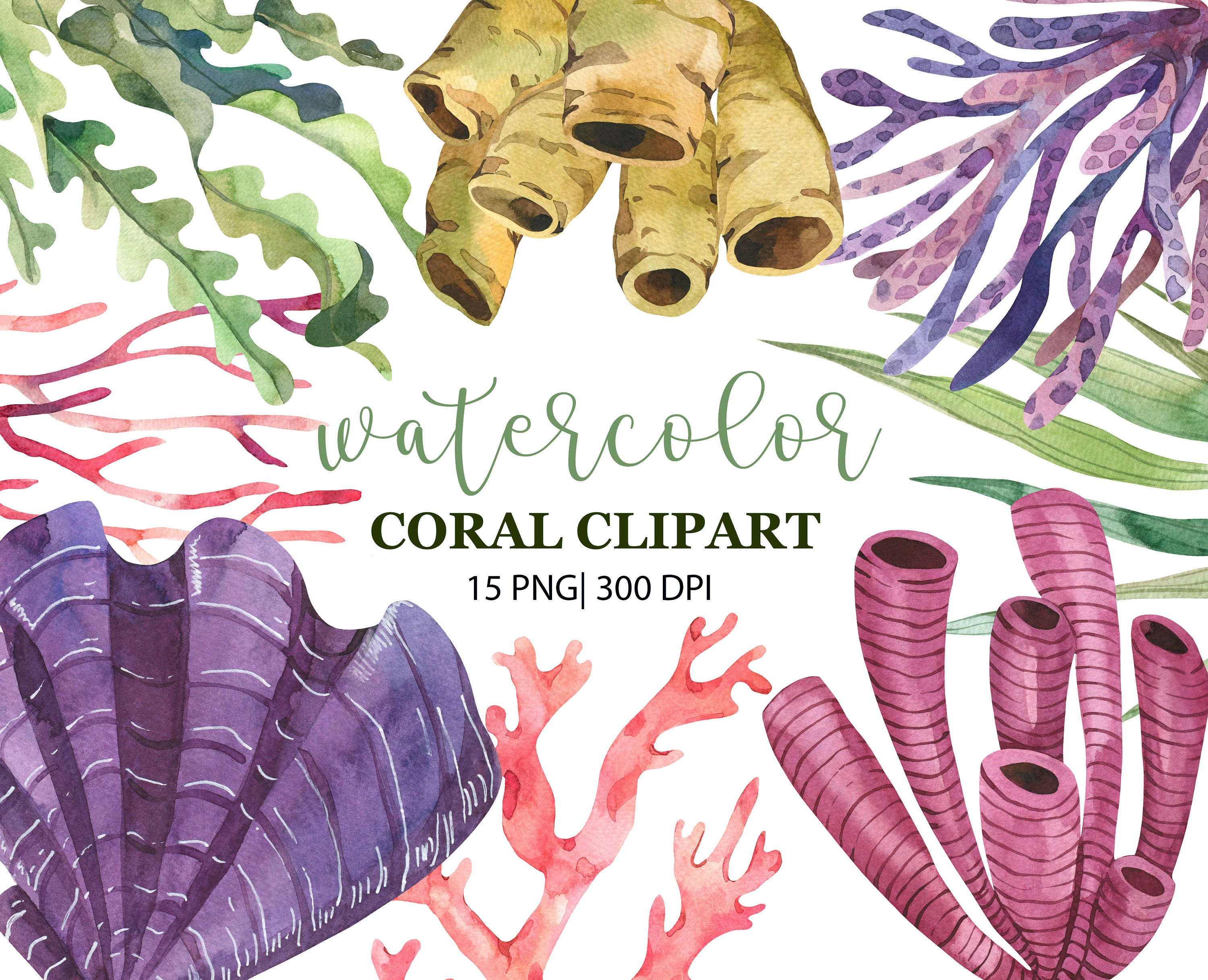 Watercolor Coral Clipart Ocean Clipart Sea Coral Reef - Etsy
