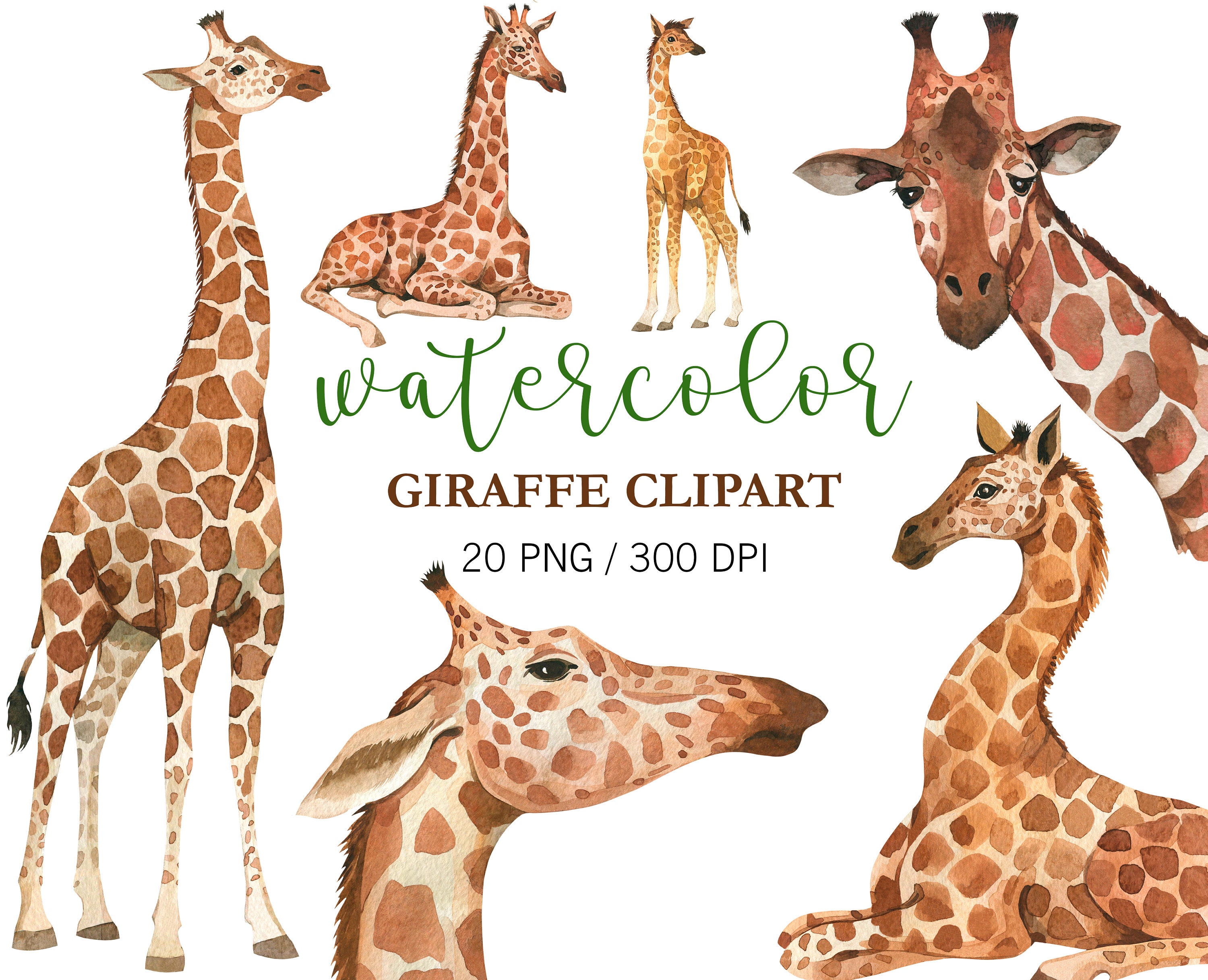 Watercolor Giraffe Clipart Animal Clipart Safari Nursery - Etsy