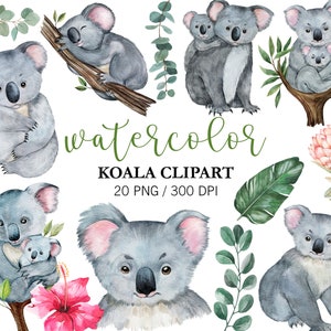 Watercolor Koala Clipart PNG Nursery Decor, Baby Shower, Animals ...