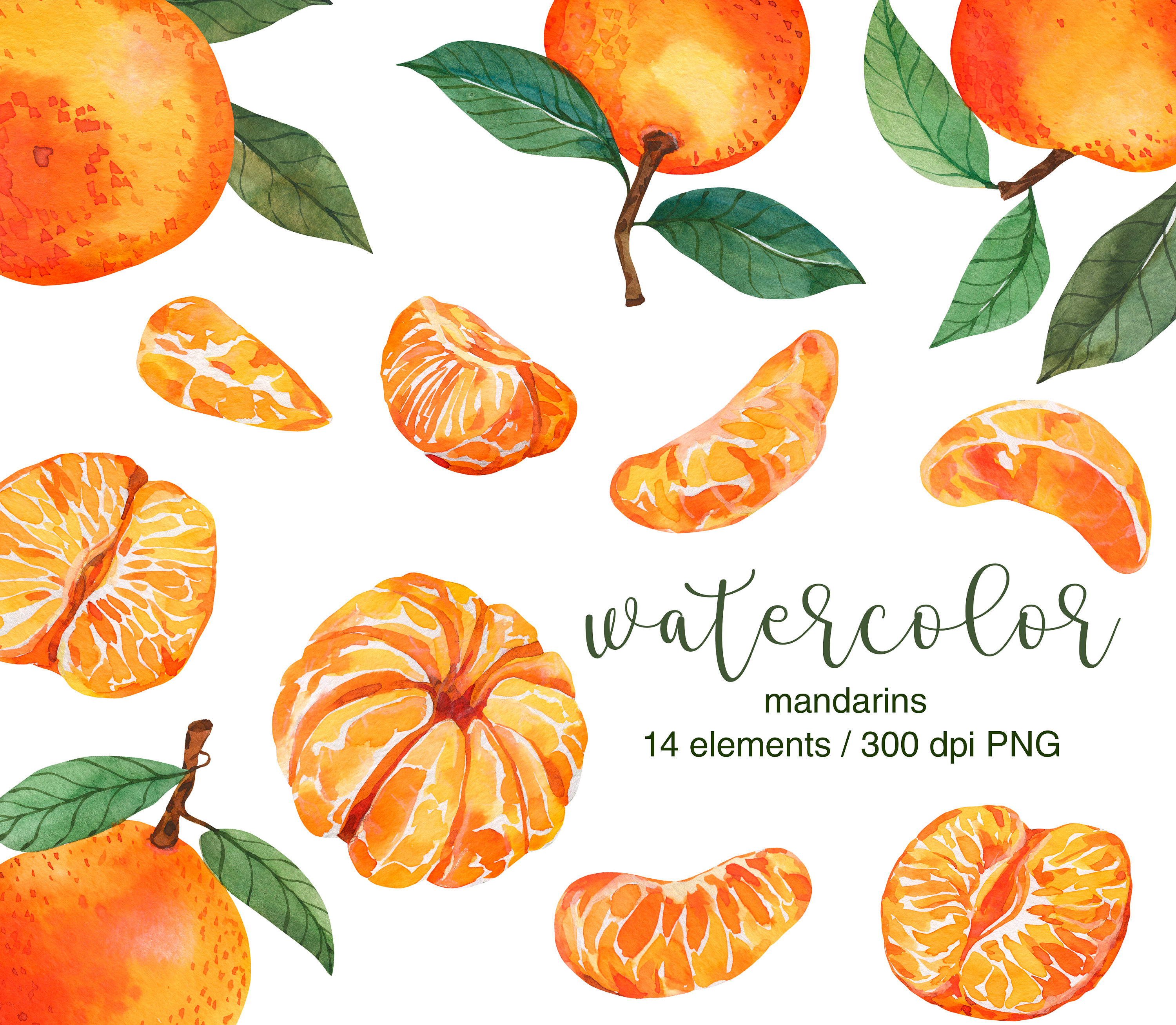 Mandarin Orange Clipart