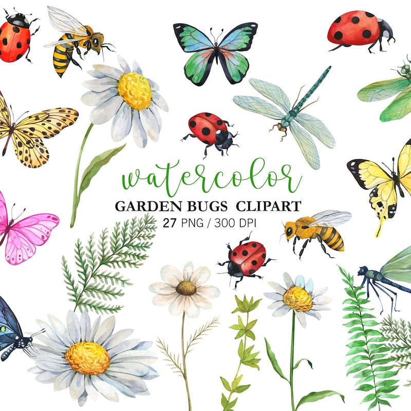 Love Bug Baby Clipart - Etsy