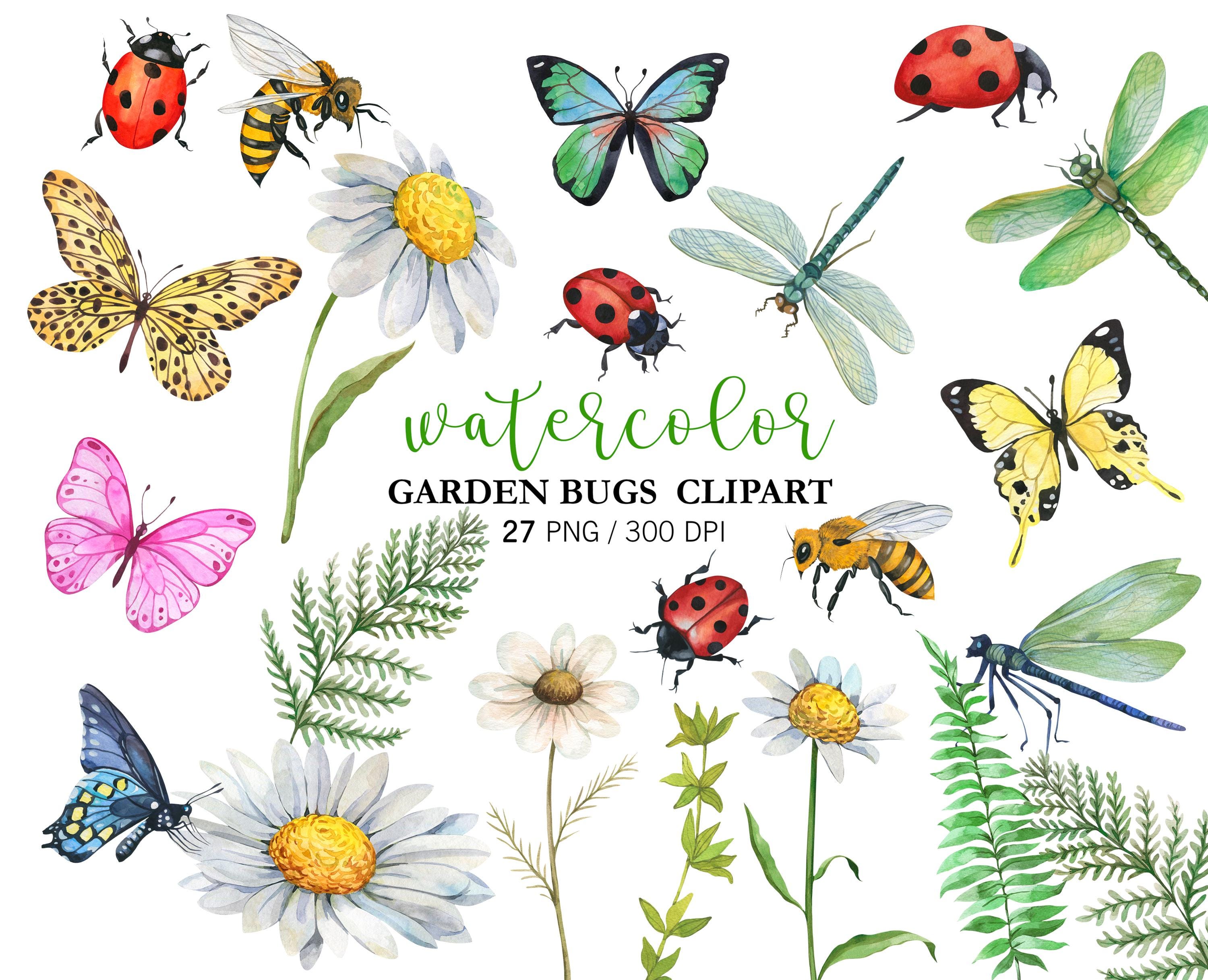Watercolor Garden Bugs Clipart: Hand Painted Ladybug, Bee, Butterfly ...