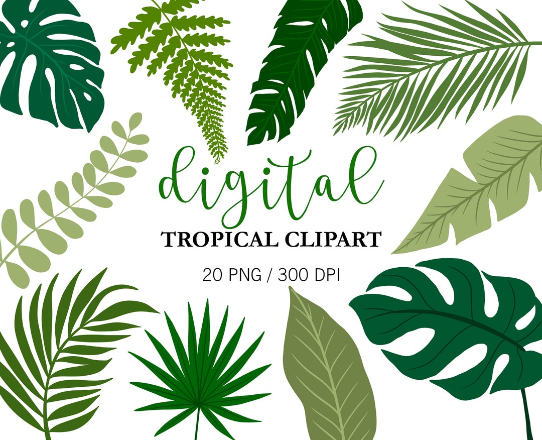 Tropical Leaves Clipart, Monstera Clipart, Jungle Clipart, Digital ...