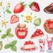 Watercolor Hand Painted Strawberry Clipart, Strawberry PNG, Summer ...