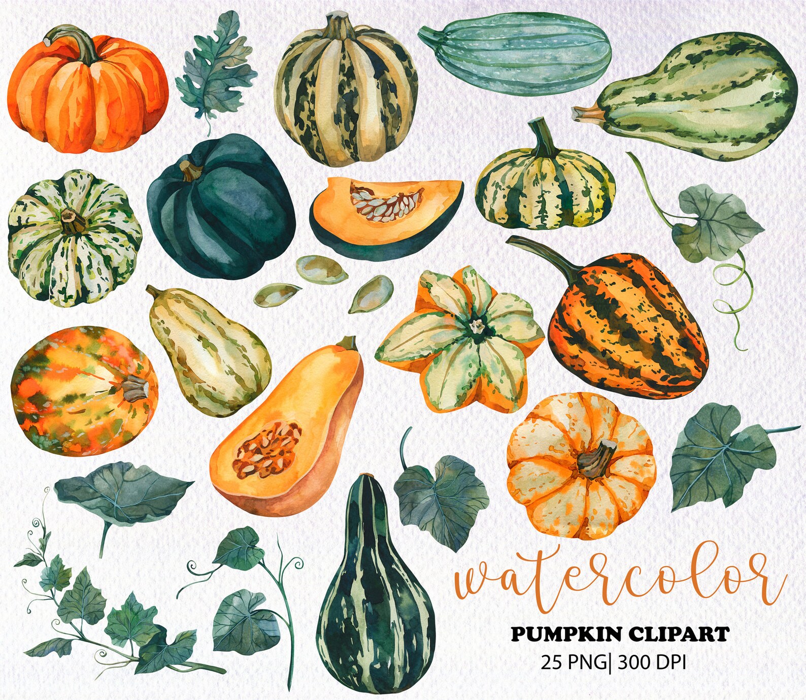 Watercolor Pumpkin Clipart Fall Clipart Pumpkin PNG - Etsy