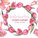 Watercolor Flowers Clipart, Tulip Clipart, Love PNG, Floral Wreath ...