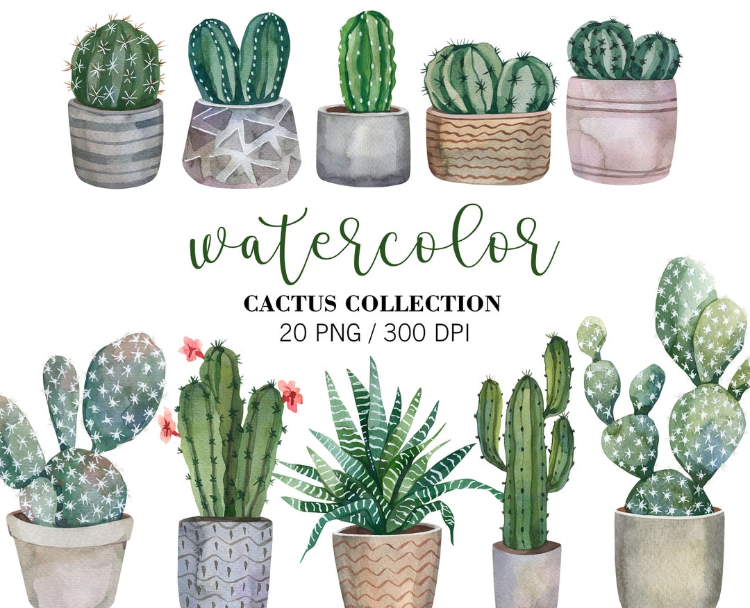 Watercolor Cactus Clipart, Cactus PNG, Cactus Print, Succulent Clipart ...