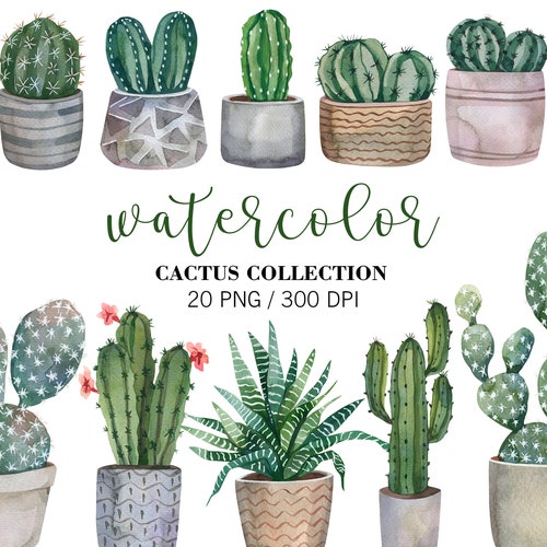 Watercolor Home Plants Clipart Potted Plants Clipart Cactus | Etsy