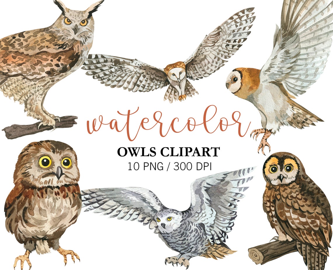 Watercolor Owls Clipart Woodland Forest Clipart Nursery - Etsy