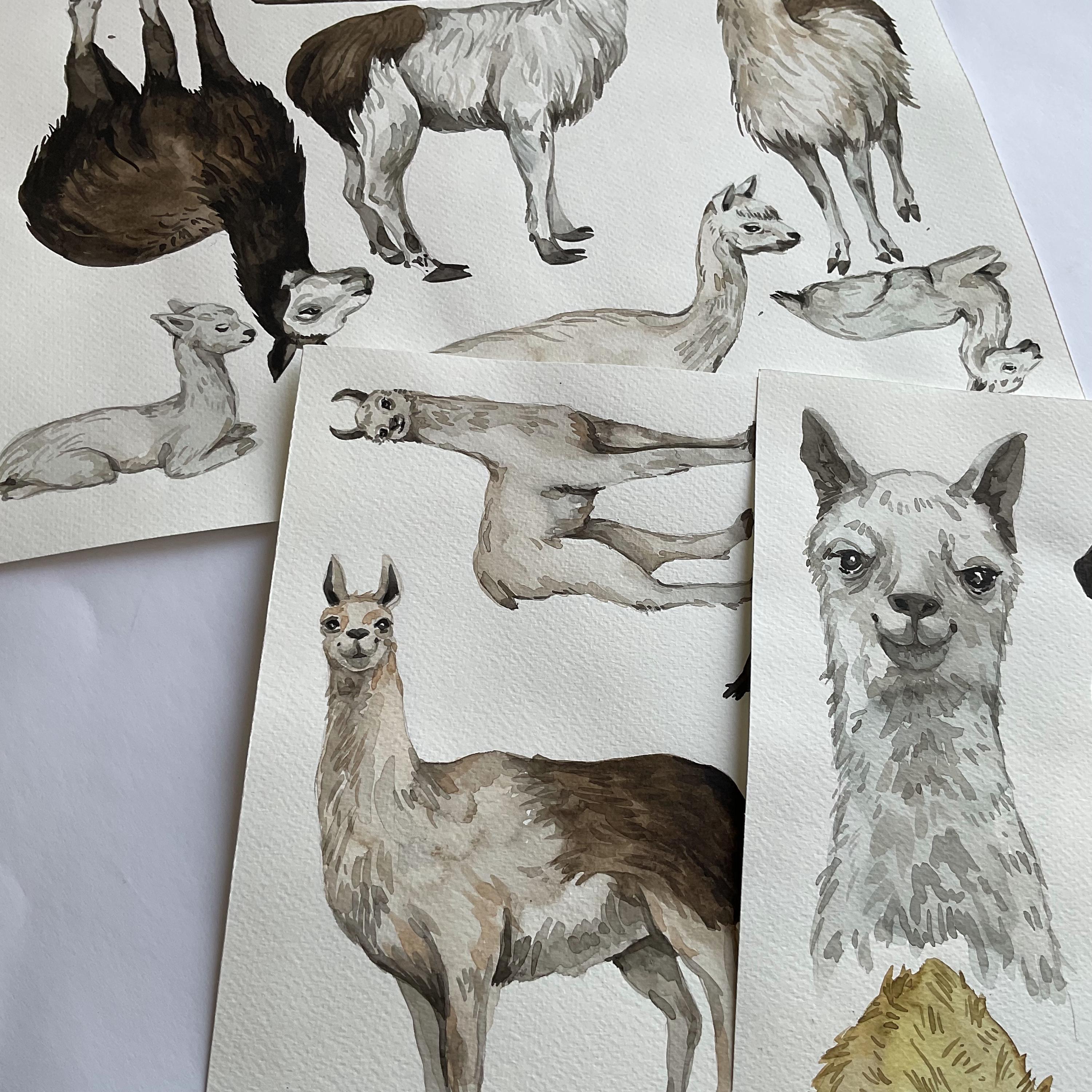 Watercolor Llamas Clipart, Nursery Decor, PNG, Mexico, Alpaca ...