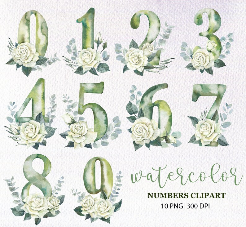 Watercolor Numbers Clipart Floral Number Clip Art White - Etsy