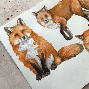 Watercolor Fox Clipart, Animals Clipart, PNG Nursery Decor, Forest ...