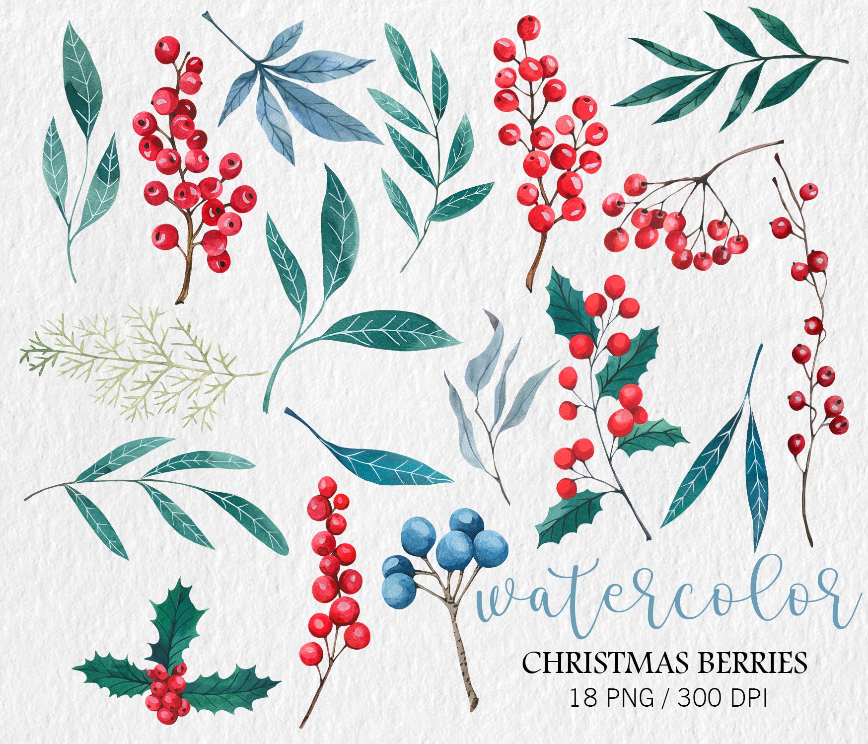 Watercolor Holly Leaves and Red Berries Clipart, Watercolor Christmas ...