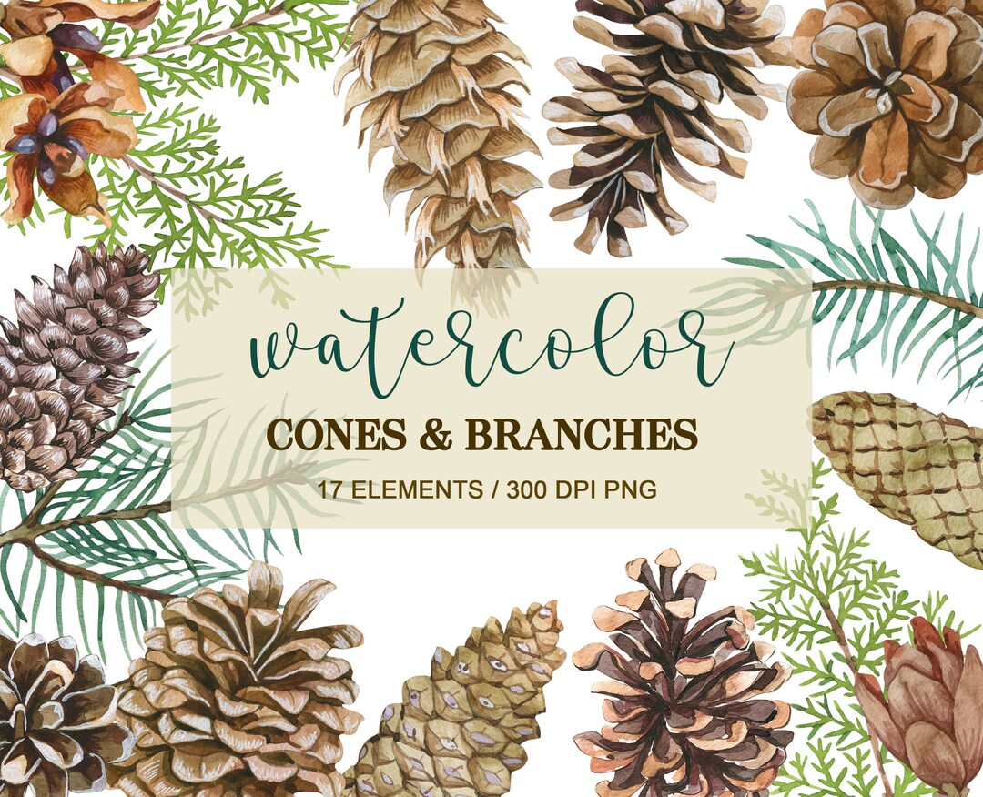 Watercolor Pine Cone Clipart, PNG, Pine Branches, Christmas Clipart ...