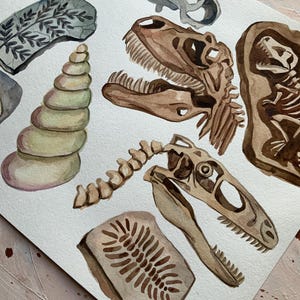 Watercolor Dinosaur Fossils Clipart, Dinosaur Clipart Dinosaur Skeleton ...