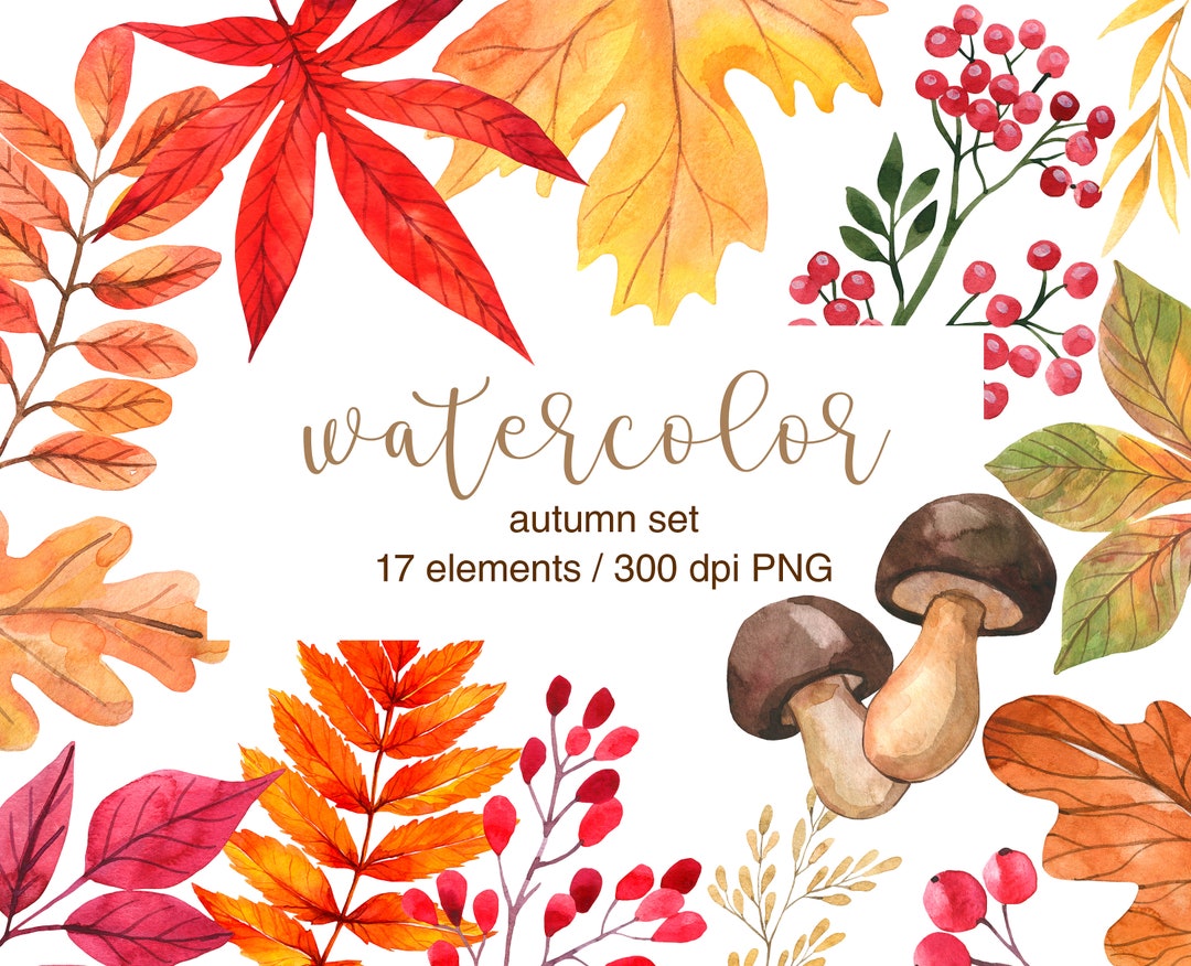 Watercolor Autumn Leaves Clipart, Hand Painted, Fall Leaf, Autumn Decor ...