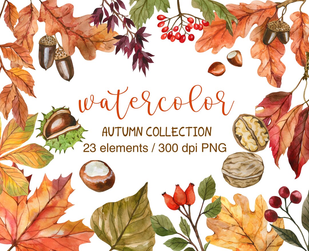 Autumn Watercolor Clipart, Autumn Leaves Clipart, PNG, Watercolor ...