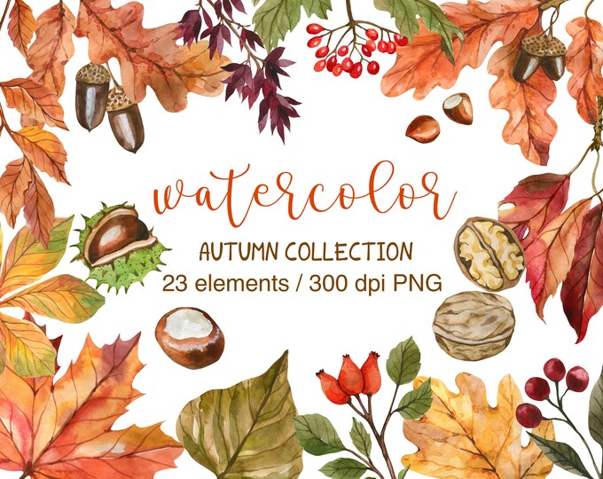 Thanksgiving Clipart, Watercolor Clipart, Fall Clipart, Autumn Clipart ...