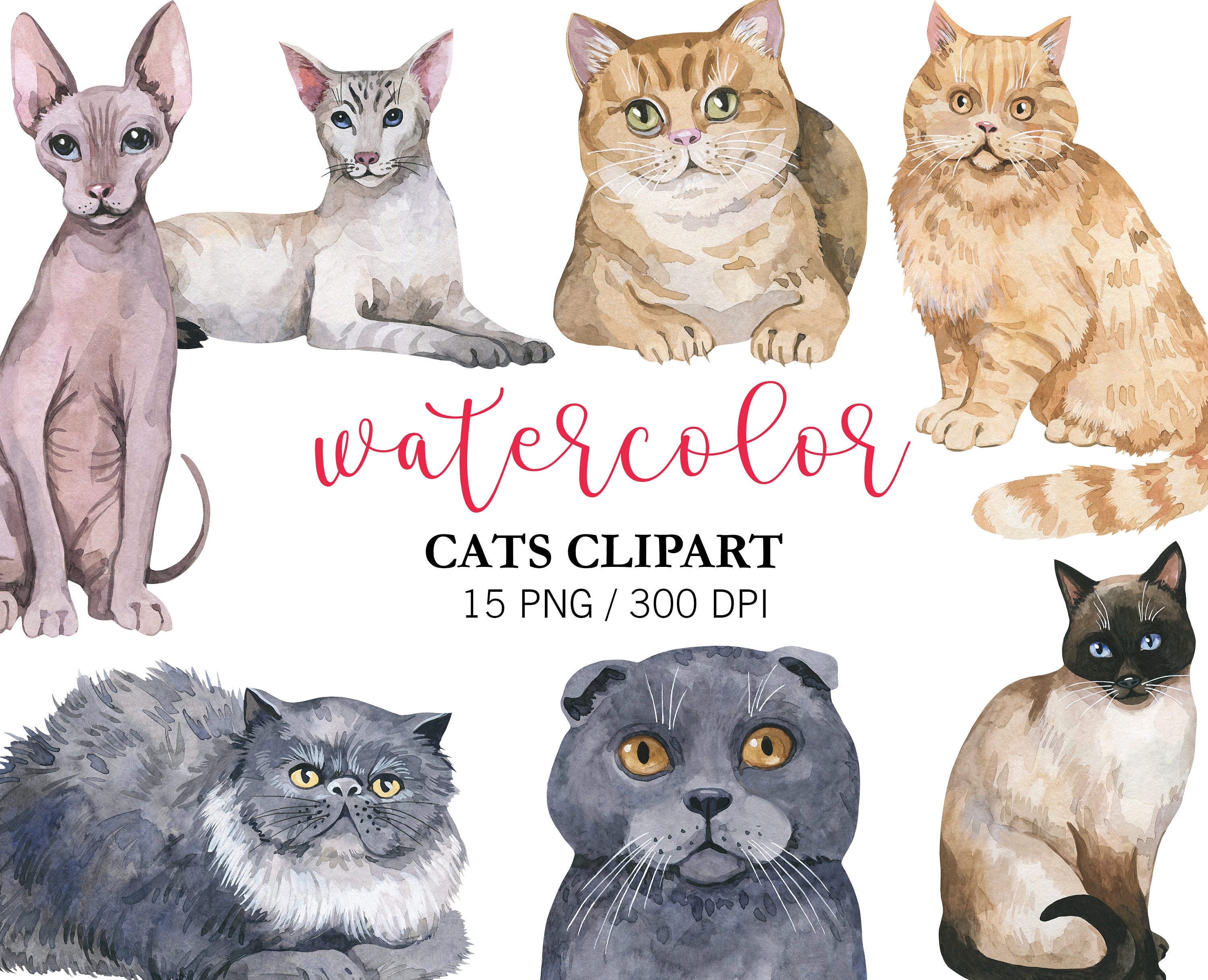 Watercolor Cat Clipart Animal Clipart Cats Portrait Nursery - Etsy ...