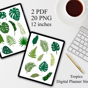 Tropical Leaves Clipart, Monstera Clipart, Jungle Clipart, Digital ...