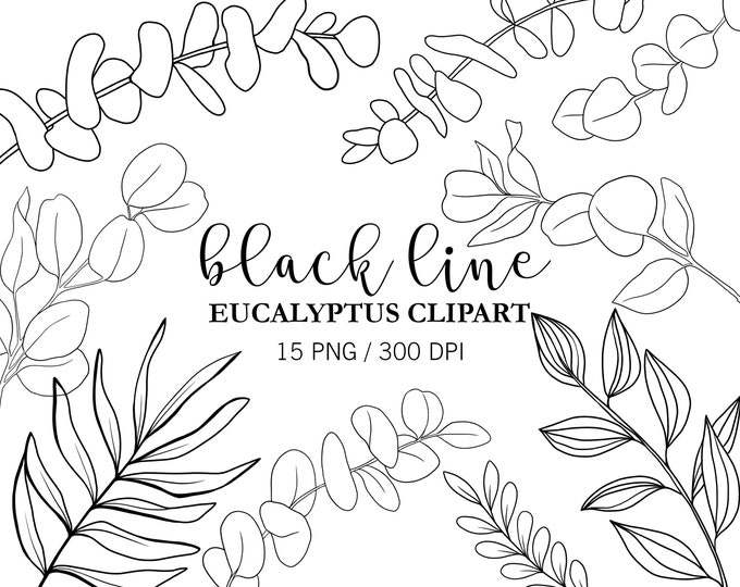 Black Line Eucalyptus Clipart, Eucalyptus Leaves, Doodle Clipart ...