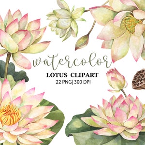 Watercolor Lotus Clipart, Water Lilies, Lotus Flower, Lotus Green ...