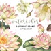 Watercolor Lotus Clipart, Water Lilies, Lotus Flower, Lotus Green ...