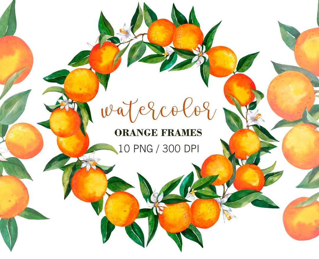 Watercolor Oranges Wreath, Oranges Branches Blossom, PNG, Oranges ...
