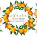 Watercolor Oranges Wreath, Oranges Branches Blossom, PNG, Oranges ...