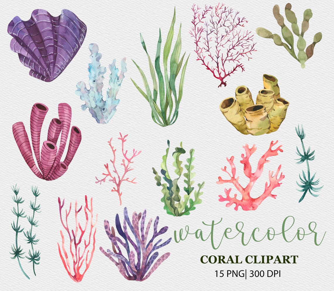 Watercolor Coral Clipart Ocean Clipart Sea Coral Reef - Etsy