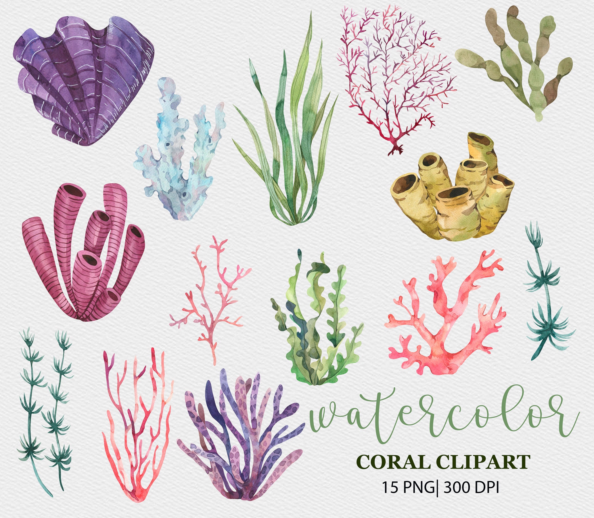 Watercolor Coral Clipart Ocean Clipart Sea Coral Reef - Etsy