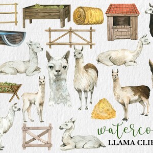 Watercolor Llamas Clipart, Nursery Decor, PNG, Mexico, Alpaca ...