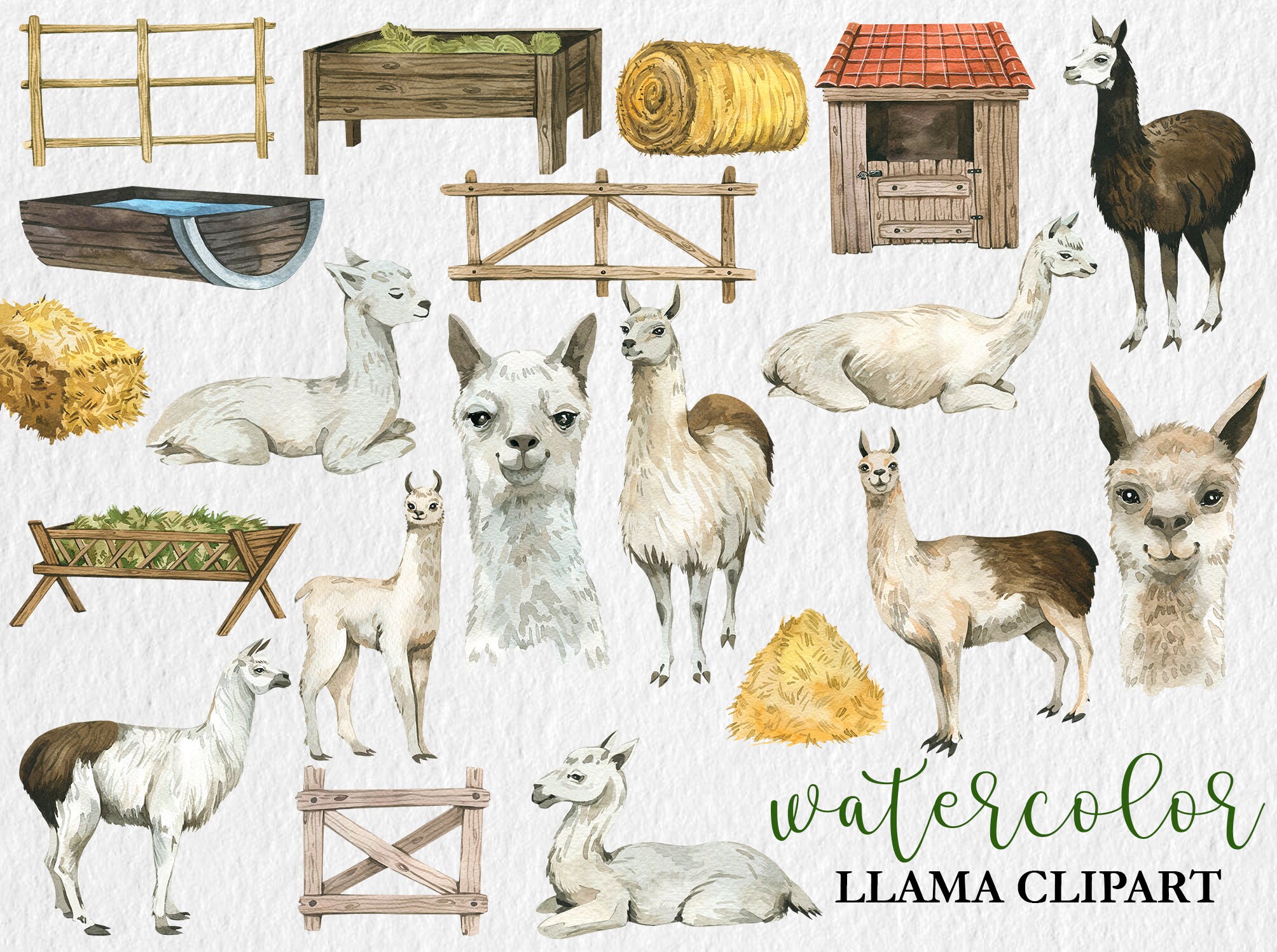 Watercolor Llamas Clipart Nursery Decor PNG Mexico Alpaca - Etsy