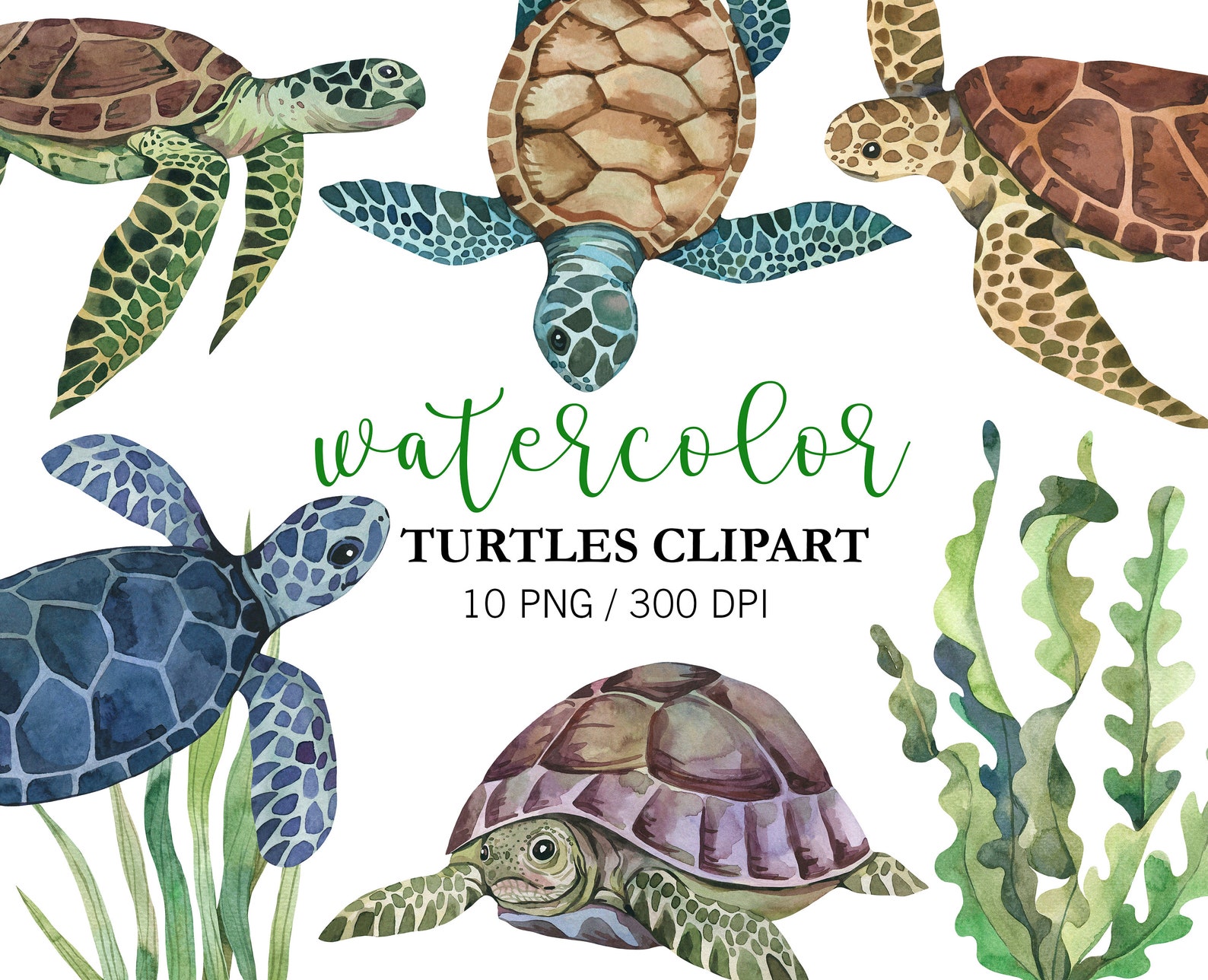 Watercolor Turtles Clipart, Sea Turtles, Nursery Decor, PNG, Wall Art ...