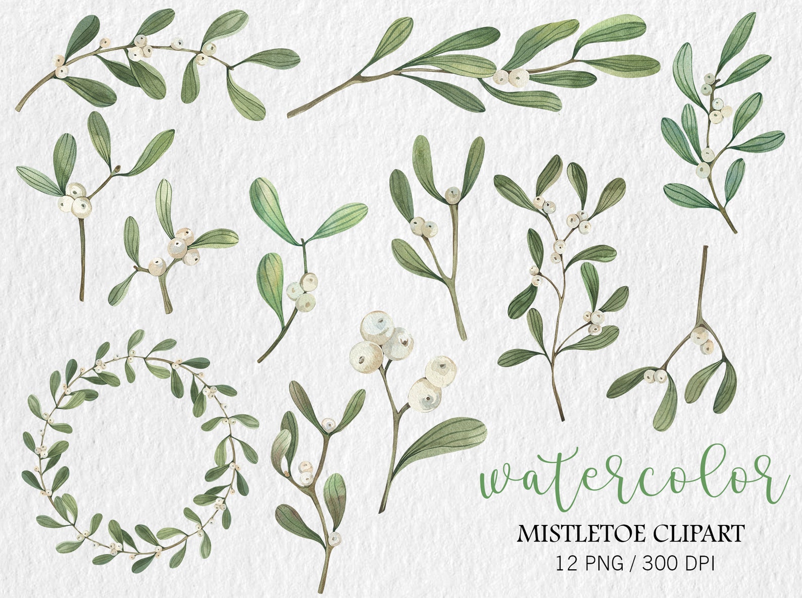 Watercolor Mistletoe Clipart Christmas Mistletoe Clipart - Etsy