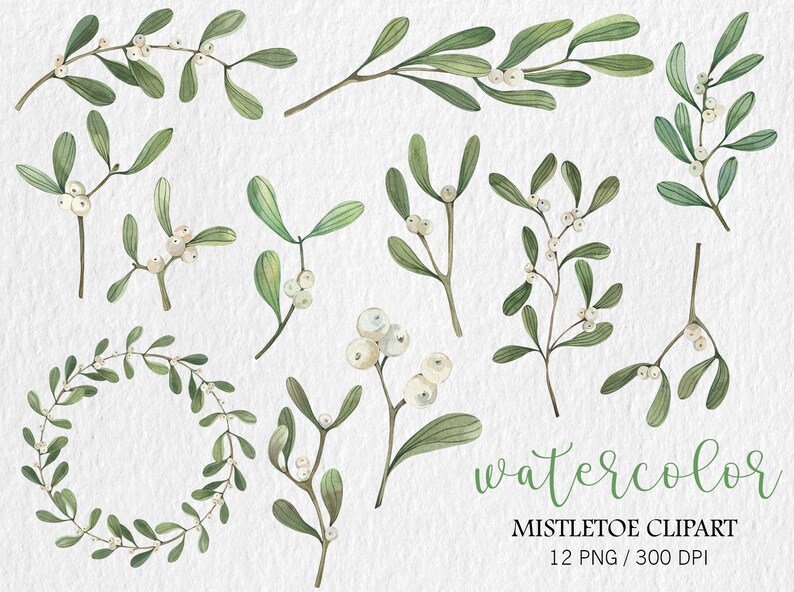 Watercolor Mistletoe Clipart Christmas Mistletoe Clipart - Etsy