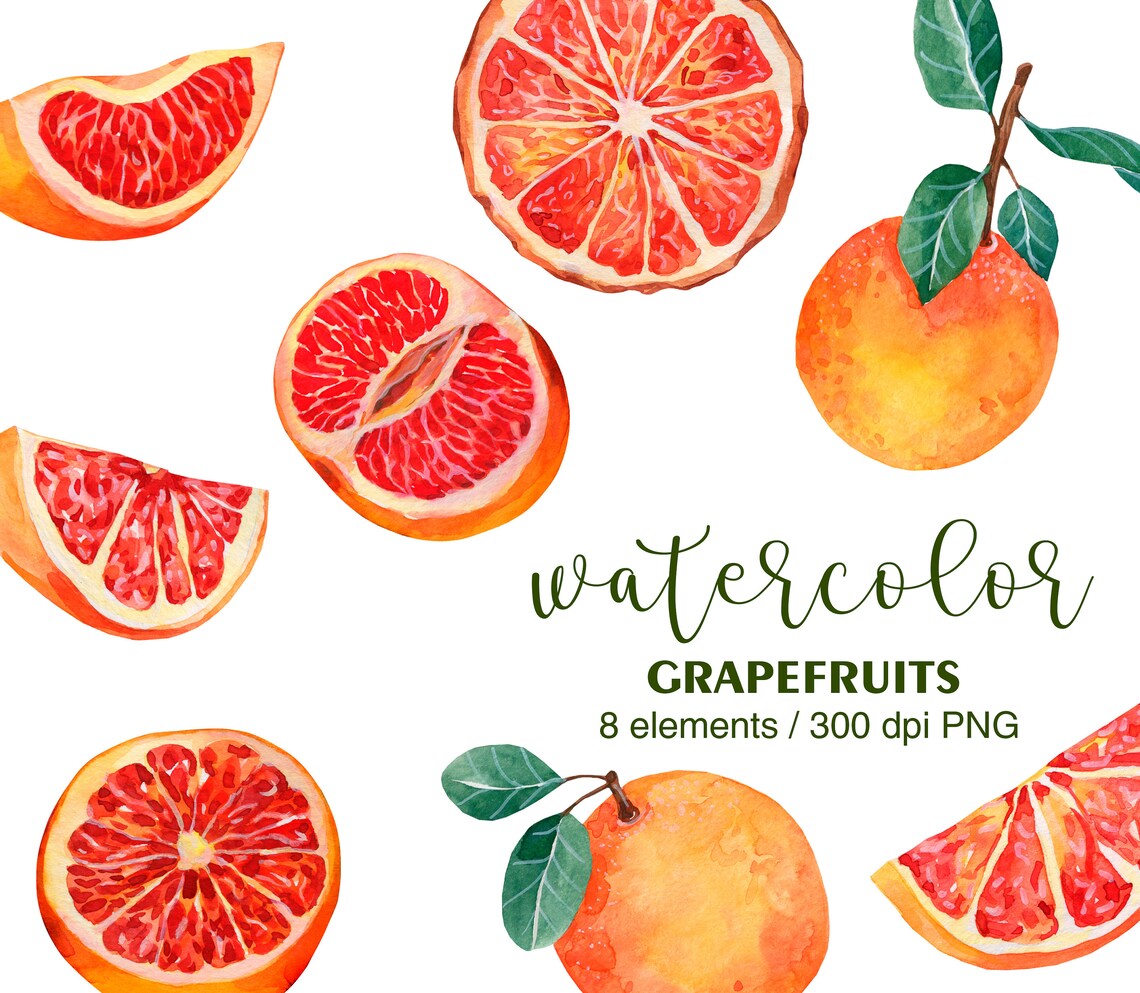 Grapefruit Clipart Watercolor Citrus Clipart Citrus Fruit - Etsy