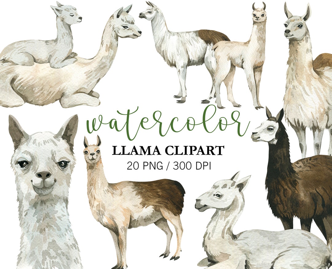 Watercolor Llamas Clipart, Nursery Decor, PNG, Mexico, Alpaca ...